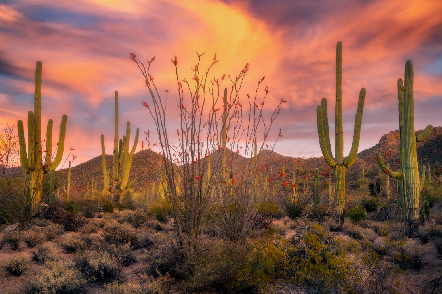 Tucson Mountain Park Sunset - The Tucson Gallery