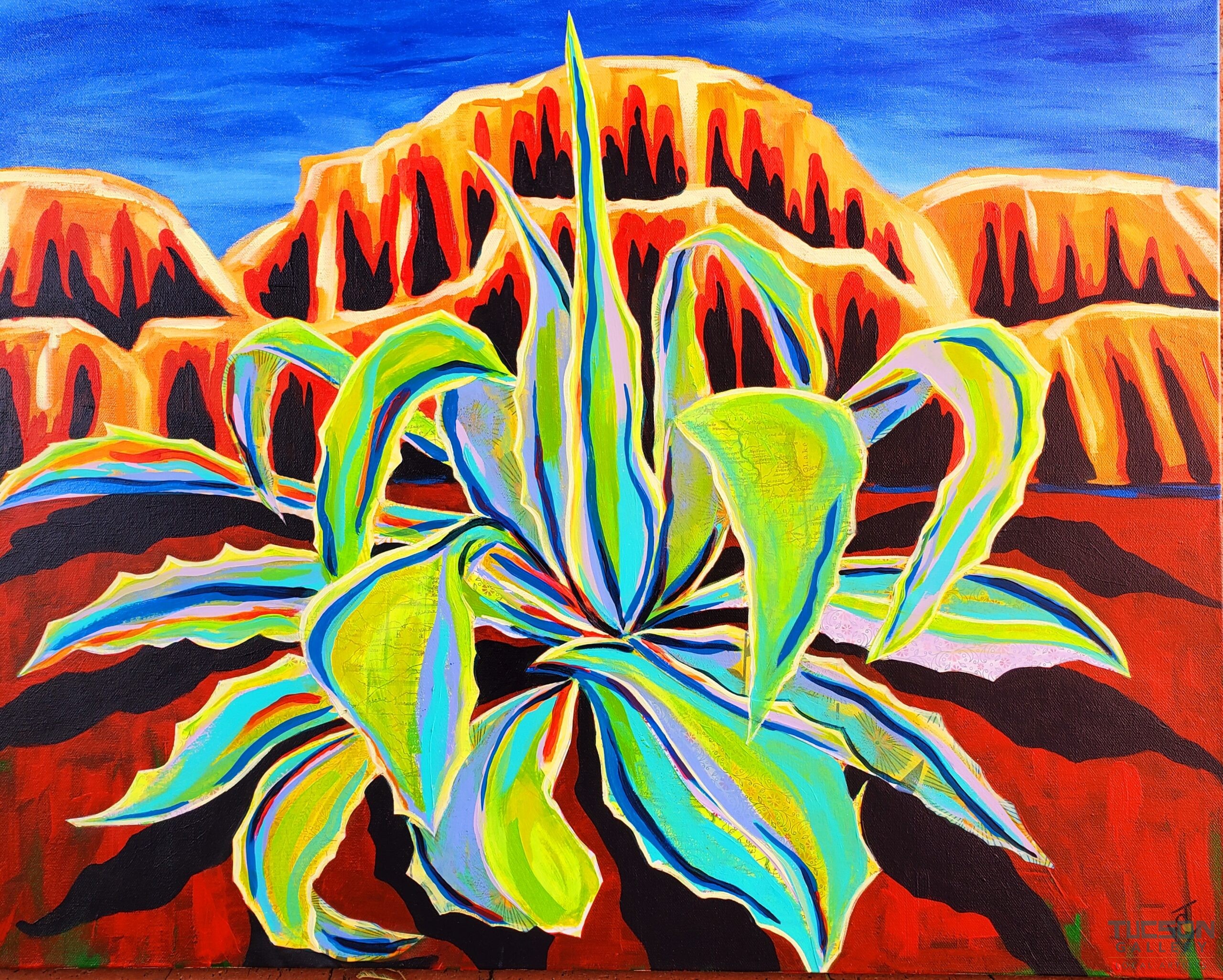 Agave - The Tucson Gallery