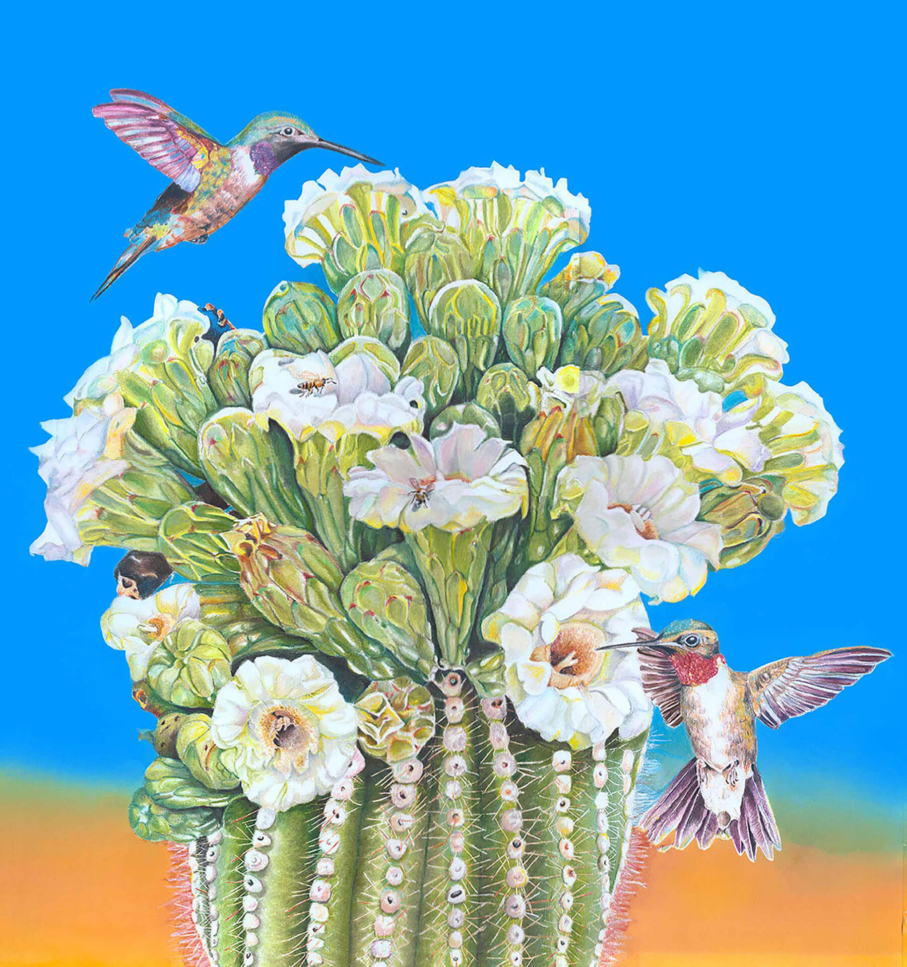 Interconnectivity - The Tucson Gallery