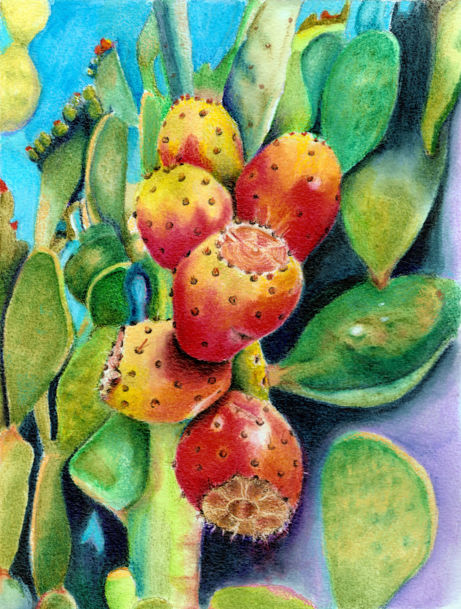 Tuna - The Tucson Gallery